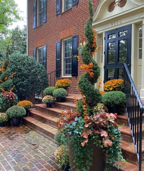 40 Front Door Plants For A Stylish Entrance Area