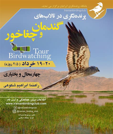 برنامه پرندهنگری در تالابهای گندمان و چغاخور 19 و 20 خرداد 1401 2