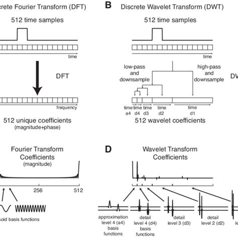 schematic comparison of discrete fourier transform and discrete wavelet download scientific