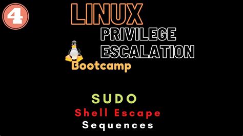 Privilege Escalation Using Sudo Shell Escape Sequences Linux