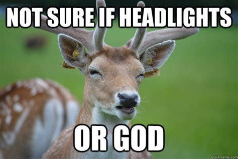 The Best Funny Deer In Headlights Meme Snipsinfoesz