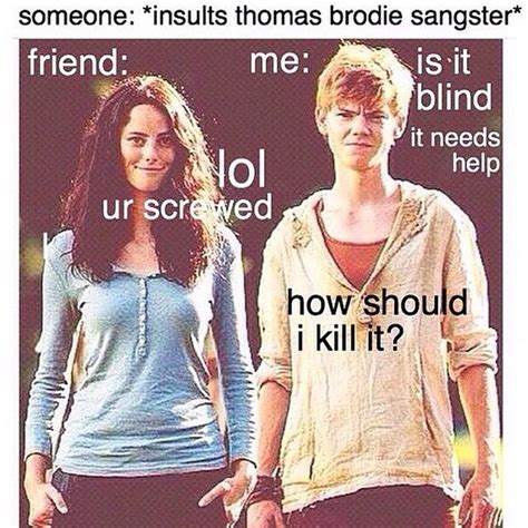 Pin On Olives Pins Maze Runner Funny Maze Runner Thomas Maze Runner