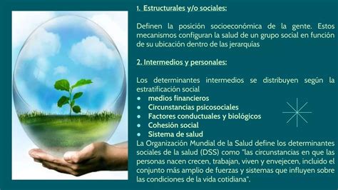 LA SALUD Y SUS DETERMINANTES Pptx