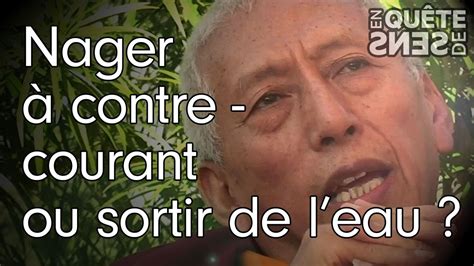Nager à contre courant ou sortir de l eau Samdhong Rinpoché YouTube