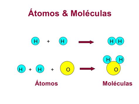 Átomos e Moléculas Biologia A ciência da vida