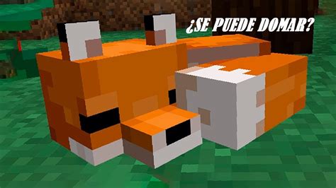Guía para domesticar un zorro en Minecraft paso a paso